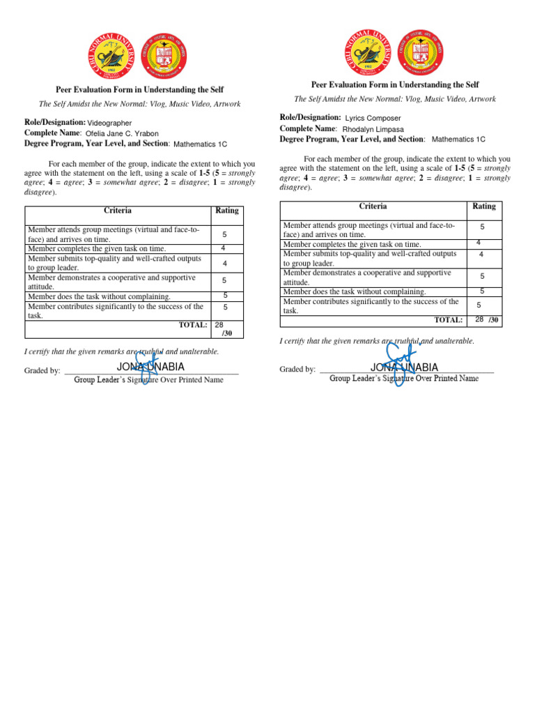 Evaluation 1 | PDF | Cognition