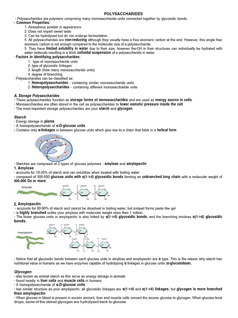 Polysaccharides | PDF | Polysaccharide | Glucose