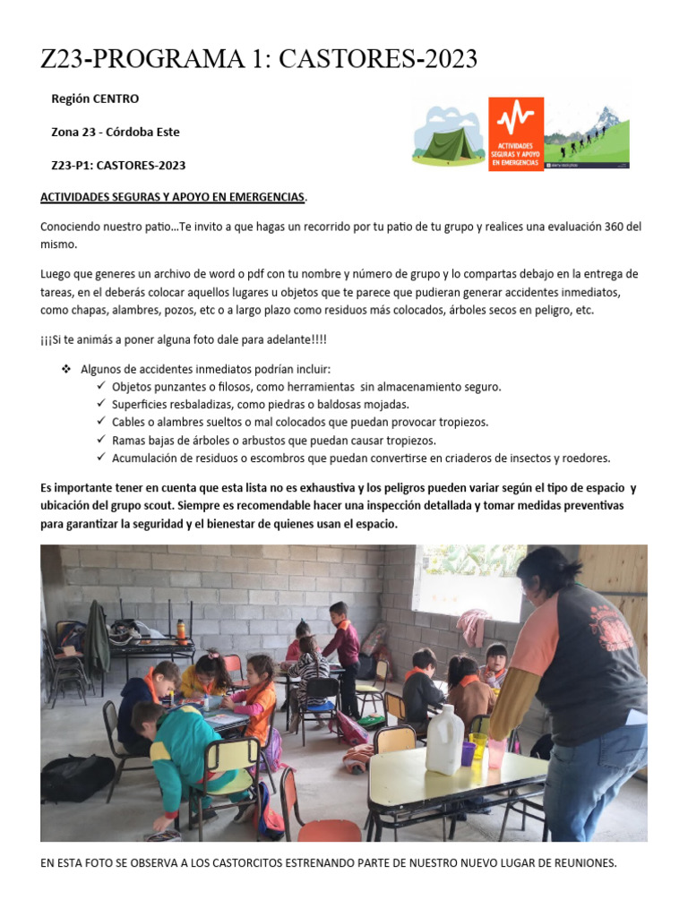 Actividades Seguras y Apoyo en Emergencias | PDF