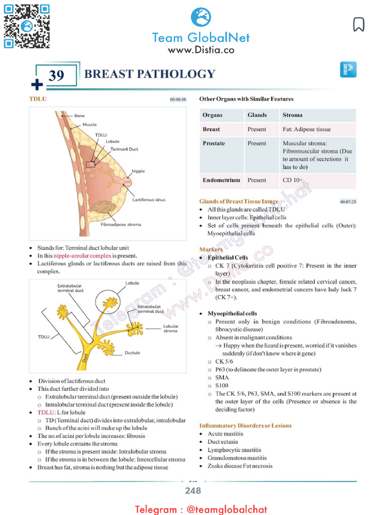 13 Breast | PDF