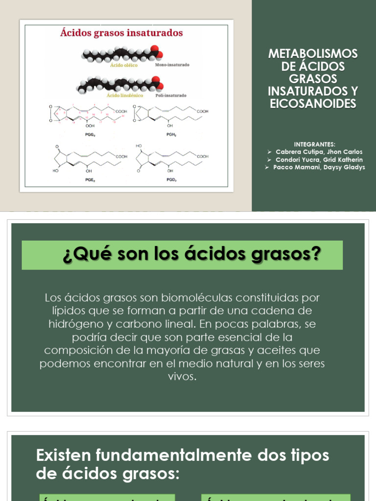 Metabolismos de Acidos Grasos Insaturados y Eicosanoides 1 | PDF | Ácido graso | Triglicéridos