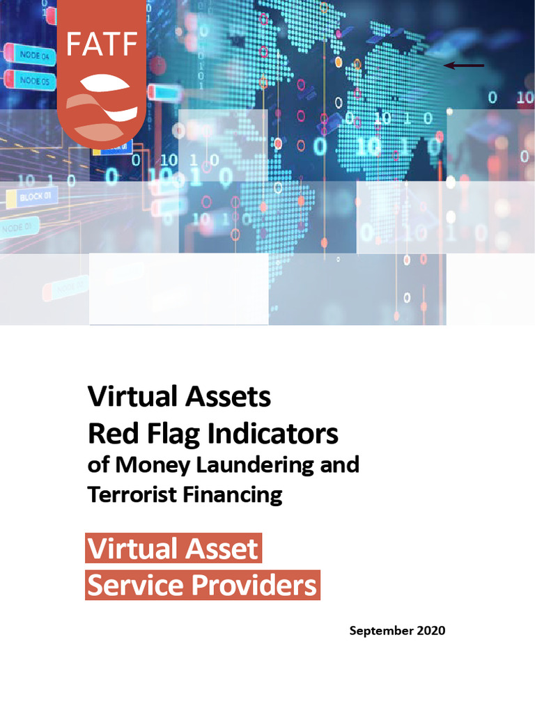 Handout Red Flags VA VASP | PDF