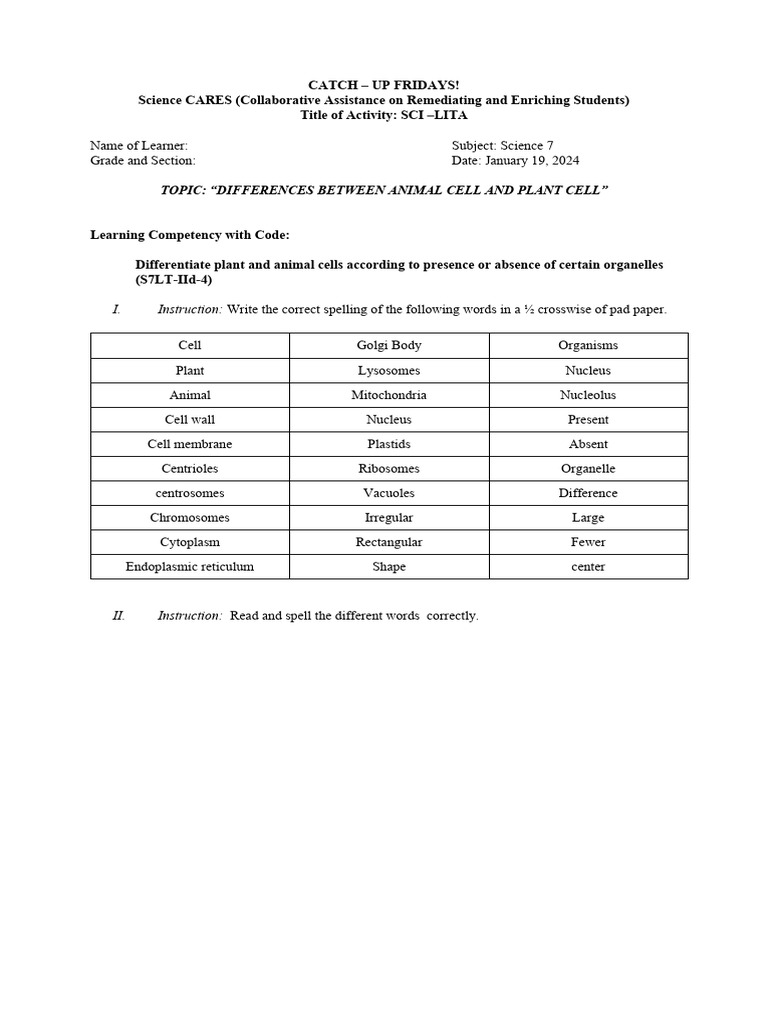 Plant vs Animal Cells Activity | PDF