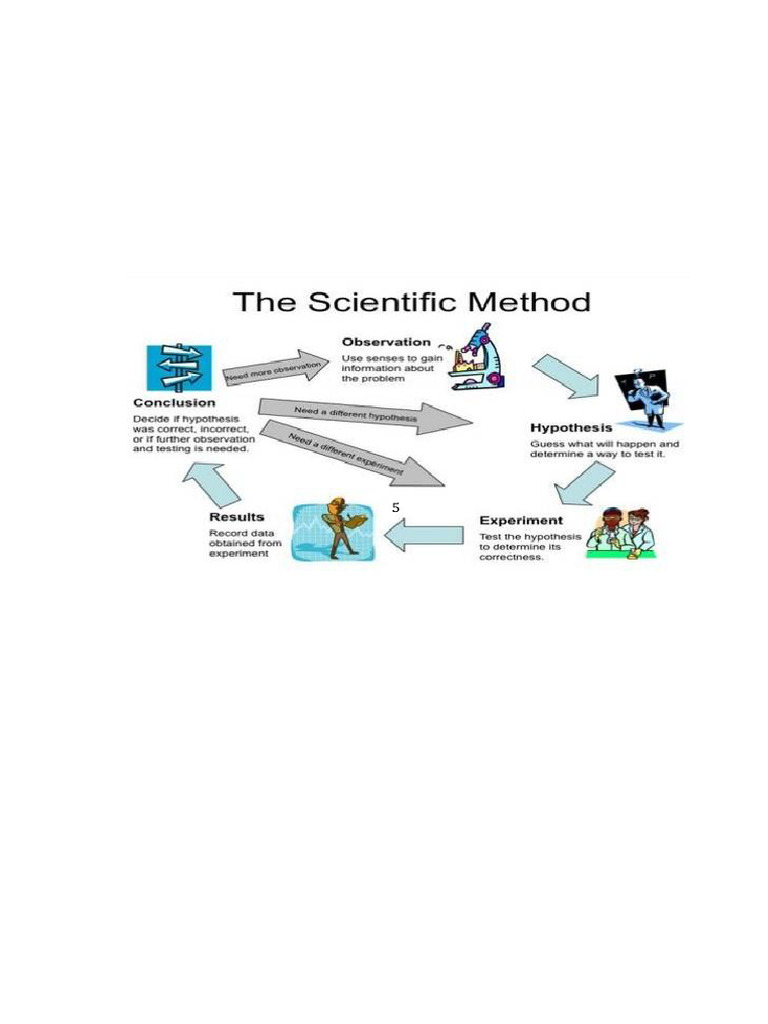 Steps of The Scientific Method | PDF | Experiment | Scientific Method