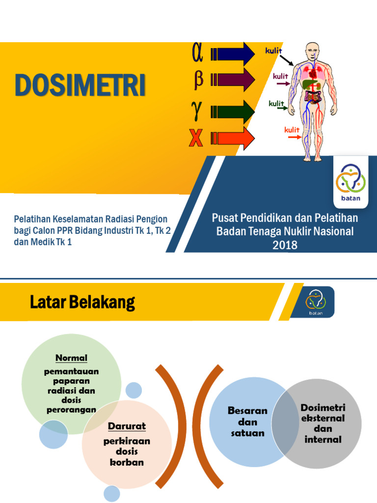 02 2019 Dosimetri PPR | PDF
