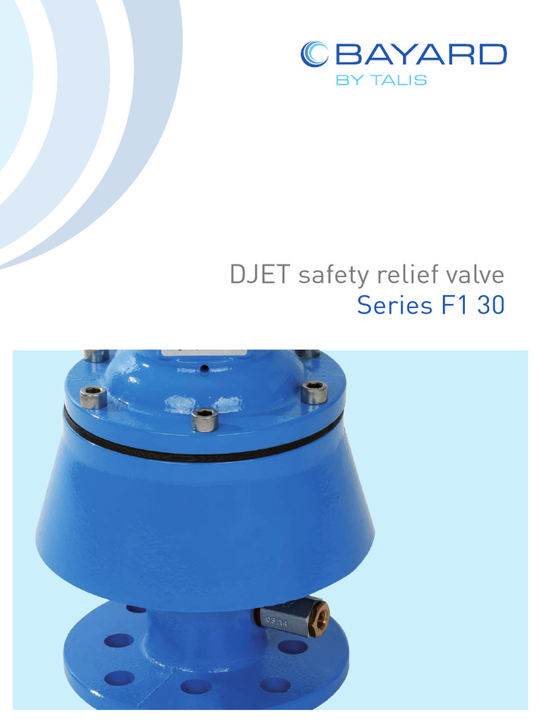 DJET Safety Relief Valve Overview | PDF | Valve | Pump