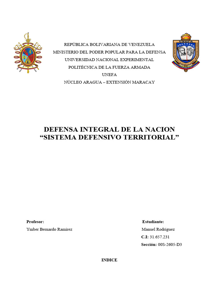 Defensa Integral El Bueno | PDF | Valores | Seguridad nacional