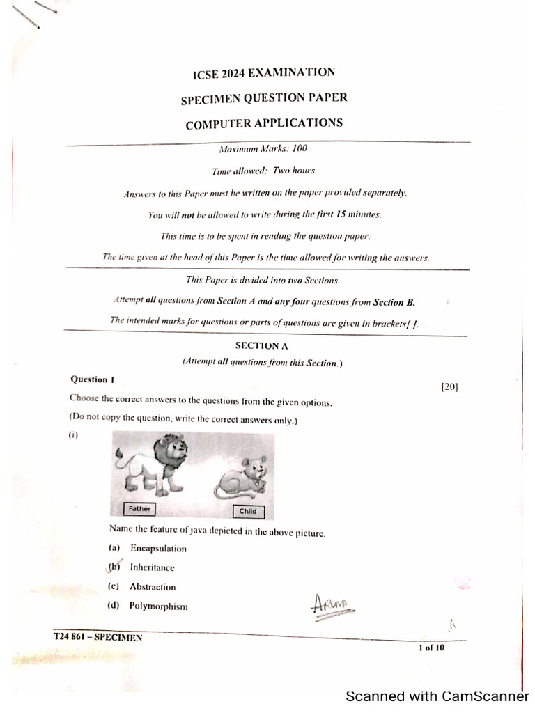 ICSE 2024 Specimen Paper Computer Applications | PDF