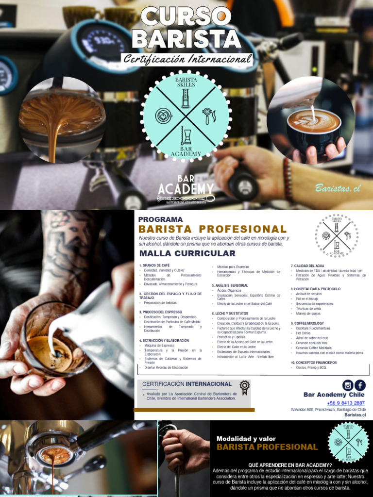 Brochure Curso Barista Profesional Bar Academy 2023 2024 | PDF | café | Leche