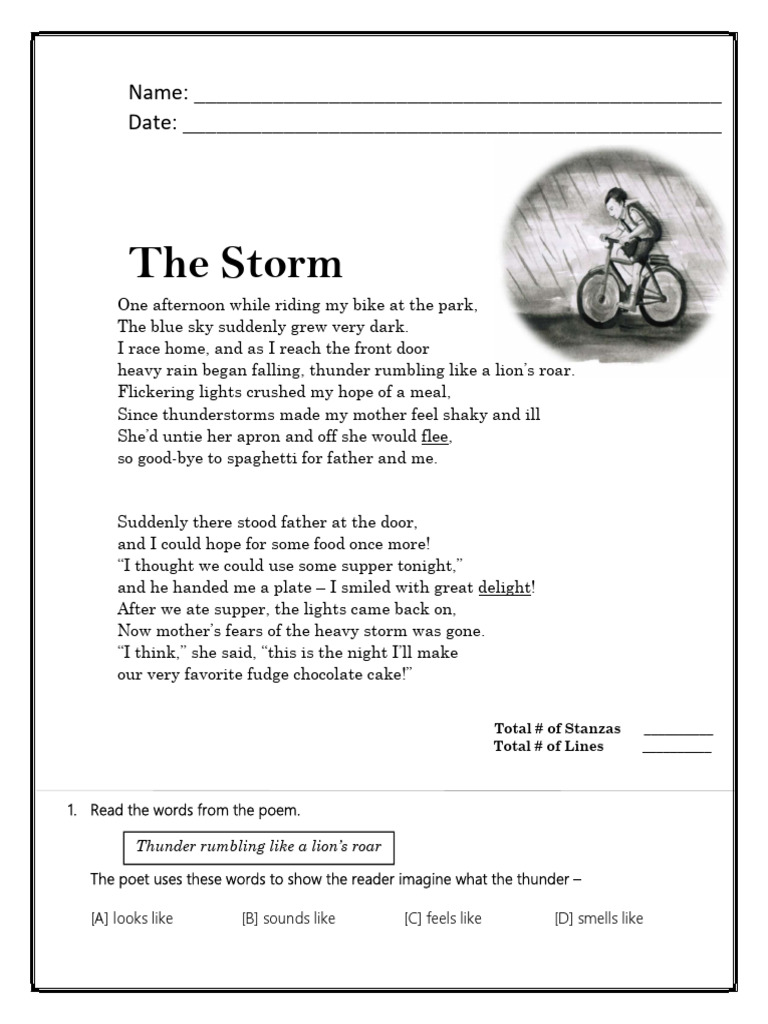 The Storm | PDF