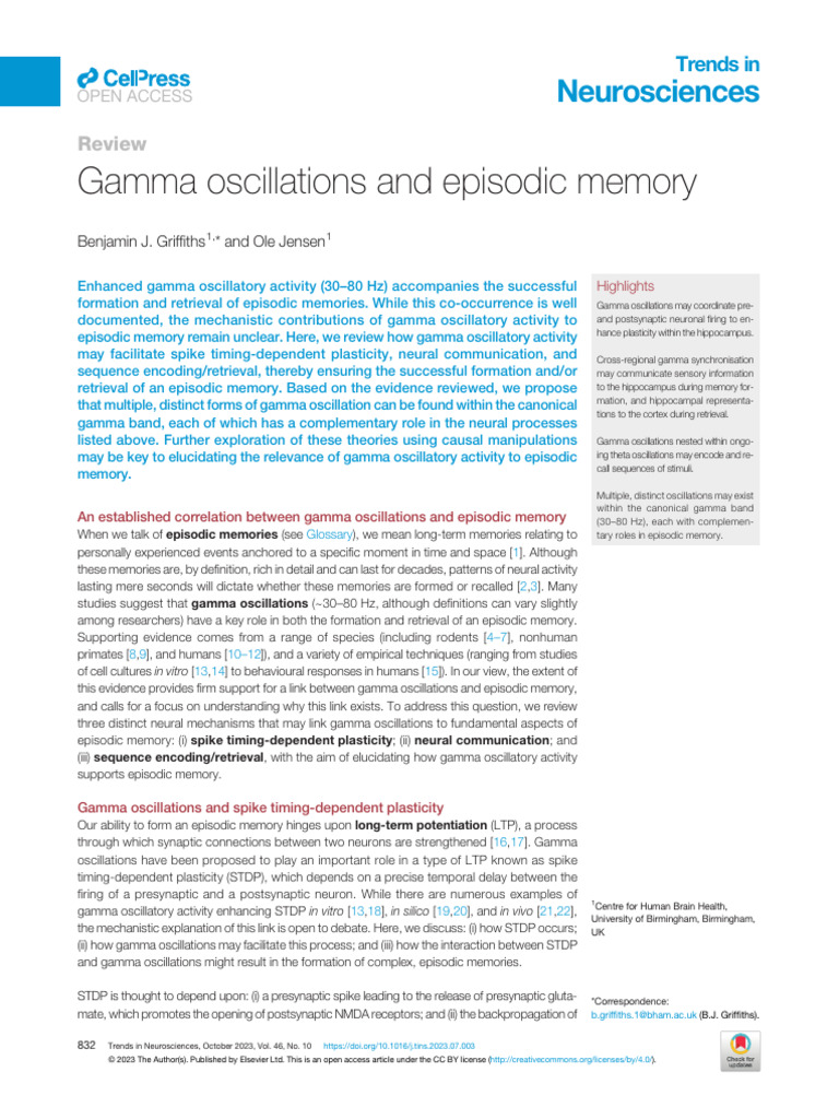 Gamma Waves | PDF | Neural Oscillation | Memory