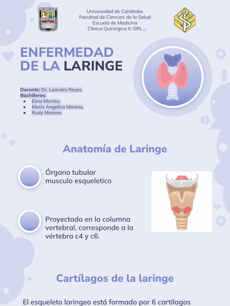 Enfermedad de La Laringe Grupo 2 | PDF | Laringe | Especialidades Medicas