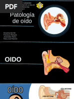 Otoscopia Normal | PDF | Oído | Anatomía