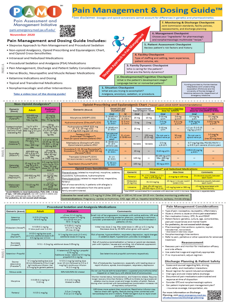 PAMI Dosing Guide Nov.2.2020 | PDF | Pain Management | Analgesic