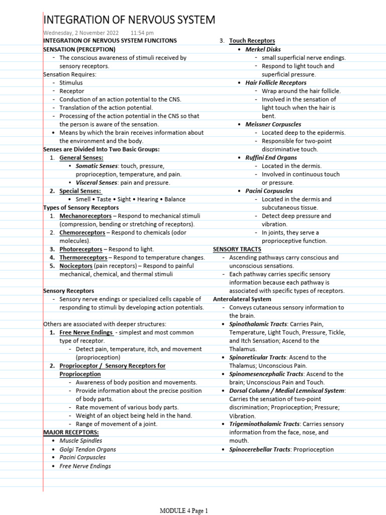 Module 4 - 12. Integration of Nervous System | PDF | Senses | Cerebellum