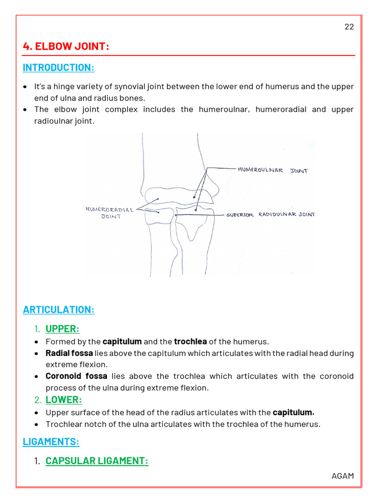 Elbow Joint Pdf Elbow Musculoskeletal System