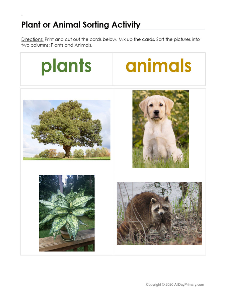 Plant or Animal Sorting Activity | PDF
