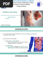 Protocolo Diagnóstico de Las Adenopatías Inguinales | PDF | Infección transmitida sexualmente ...