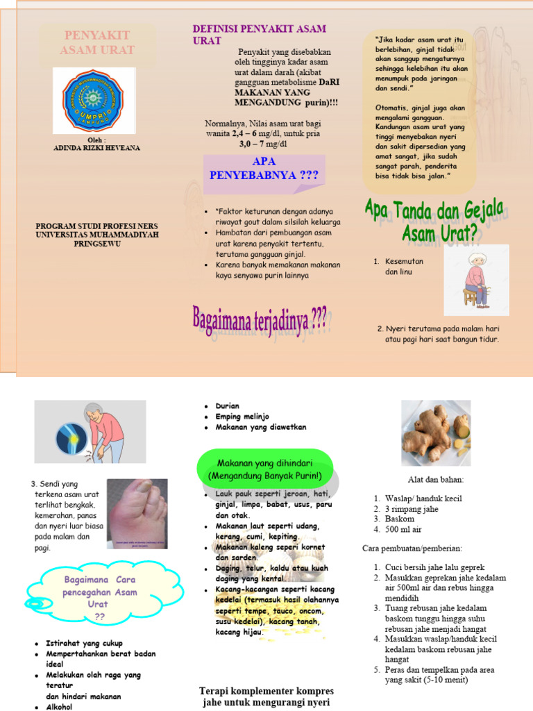 Leaflet Jahe Asam Urat Adinda Rizki Heveana | PDF