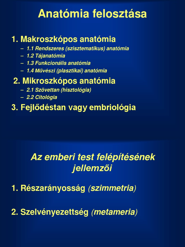 Anatómia Felosztása, Az Emberi Test Részei, Fő Síkok, Irányo | PDF