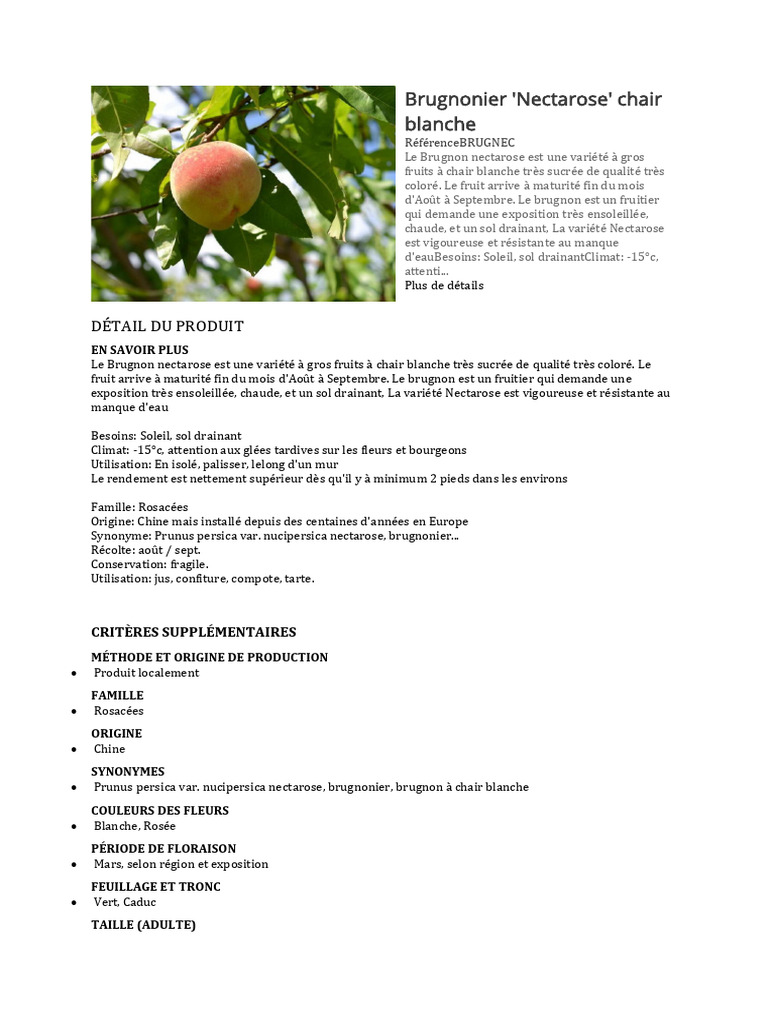 Brugnonier 'Nectarose' : Culture et Entretien | PDF | Pêche | Jardin ...