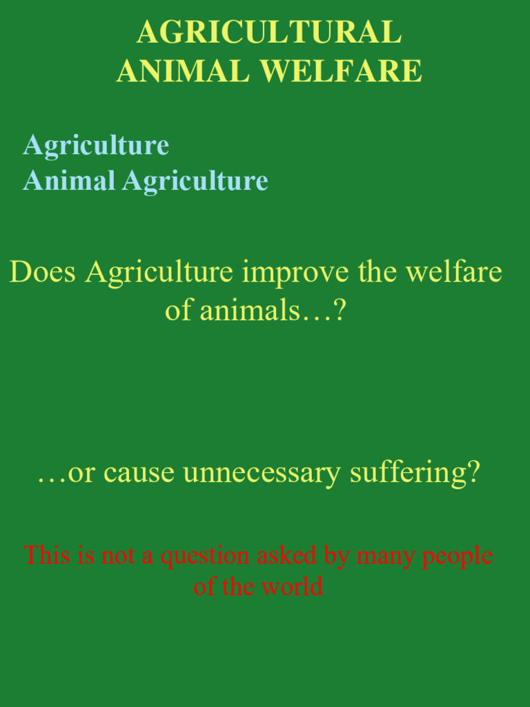 Agriculture Animal Welfare | PDF | Animal Welfare | Sheep