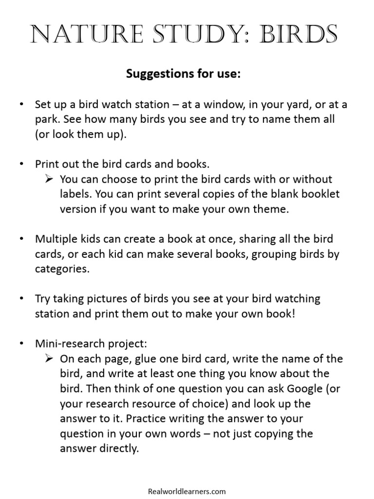 Bird Book | PDF | Birds | Computing