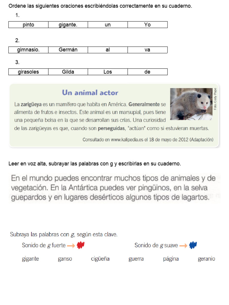 Actividades Con Ge Gi Gue Gui Güe Güi | PDF