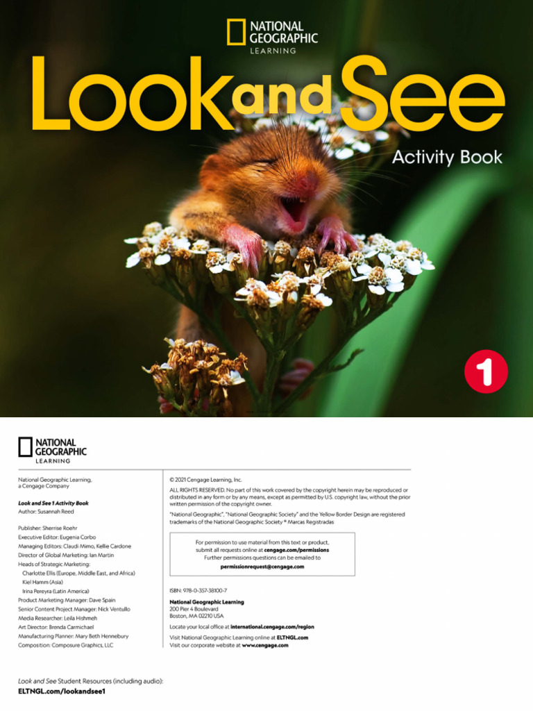 Look and See AME 1 Activity Book | PDF