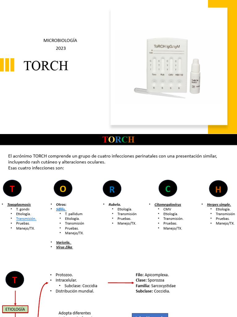 TORCH Clase | PDF | Enfermedades y trastornos | Ciencias de la Salud