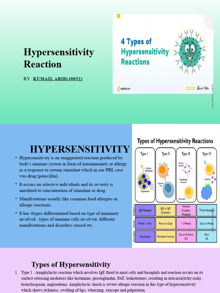 Hypersensitivity Reaction | PDF | Immune System | Allergy