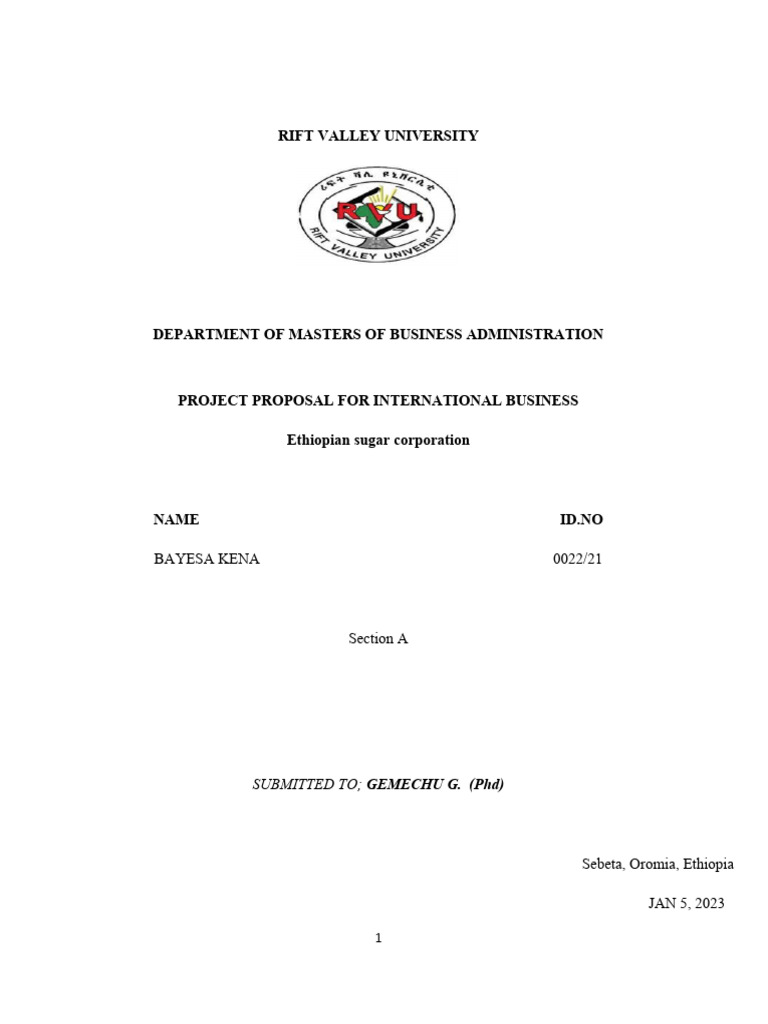 Bayo Project Assignment | PDF | Project Management | Top Down And Bottom Up Design
