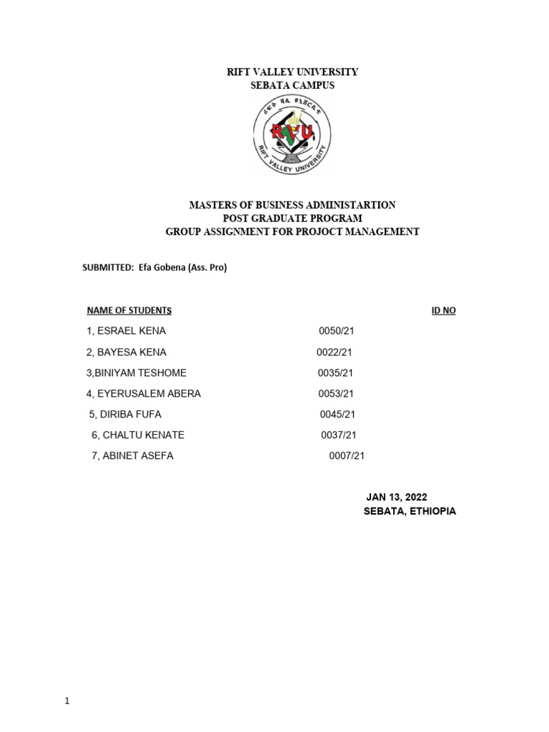 Project Mgt Assgnmnt Pdf Net Present Value Discounted Cash Flow