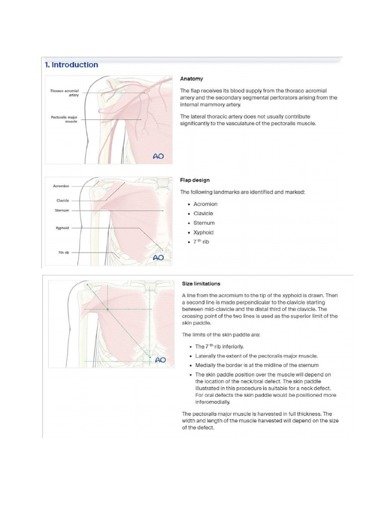 Pectoralis Major Flap Techniques | PDF