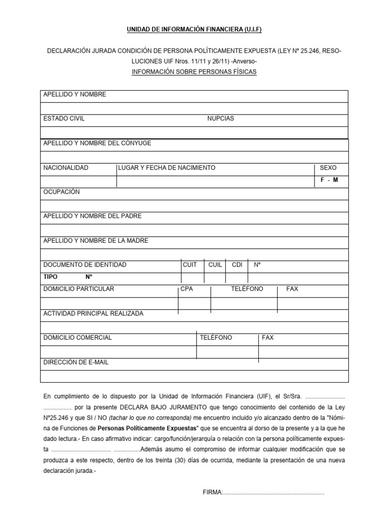 Planilla UIF - Persona Fisica | PDF | Ministerio (Departamento de ...