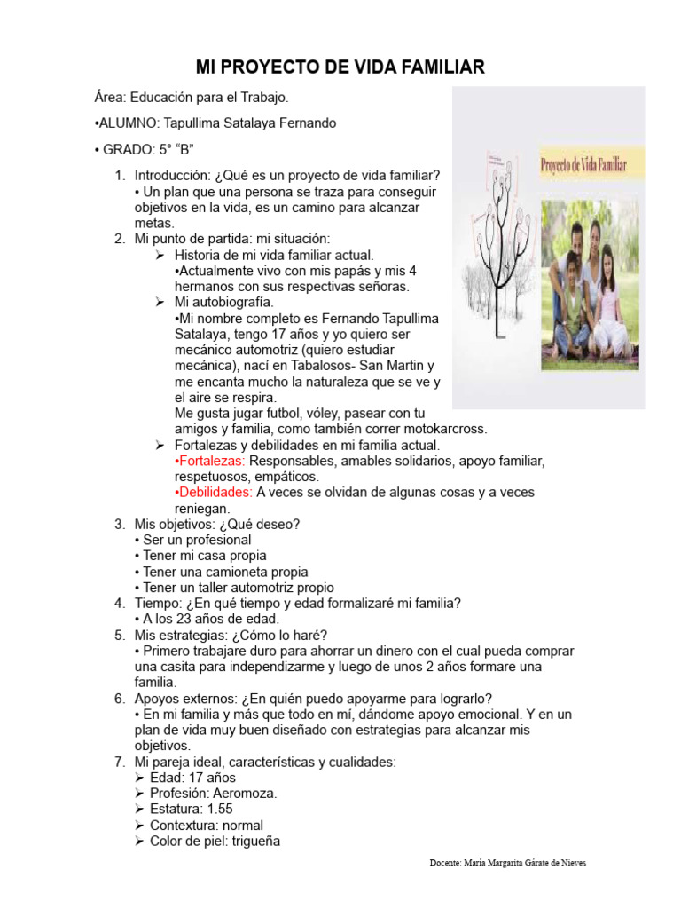 PROYECTO DE VIDA FAMILIAR-Estructura | PDF | Relaciones personales ...