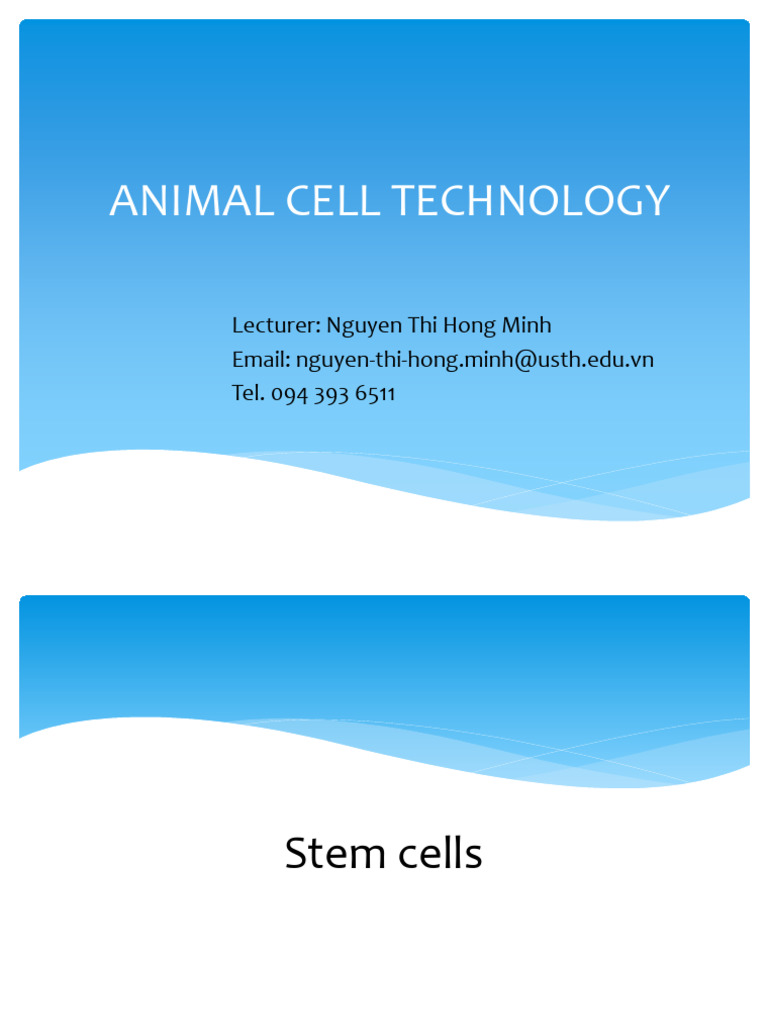 L4 - Animal Cell Technology - 2 | PDF | Cell Potency | Gene Therapy