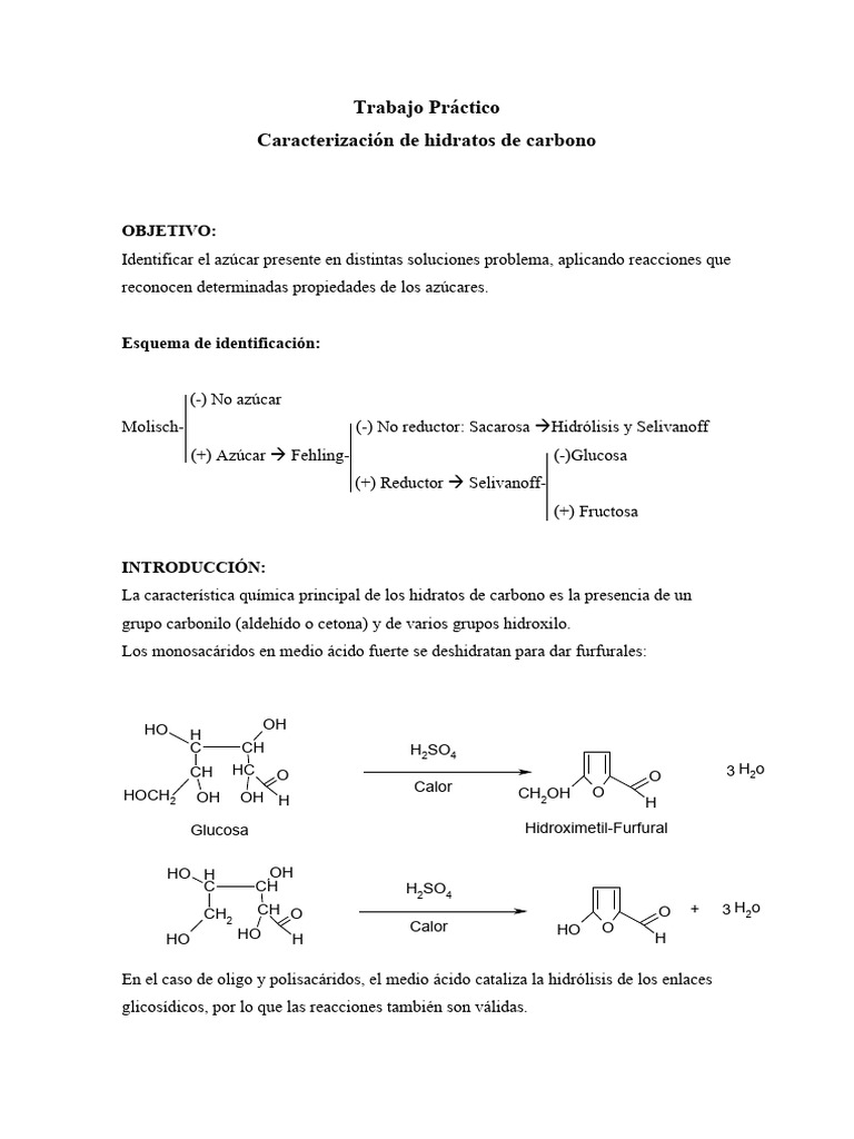 Trabajo Práctico Caracterización de HDC | PDF | Carbohidratos | Materiales