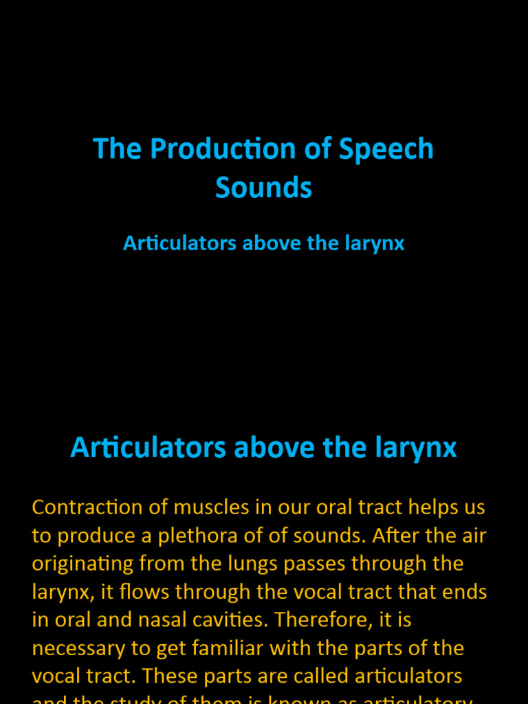Speech Sound Articulation Guide | PDF | Vowel | Phonetics