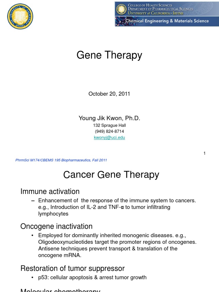 Gene Therapy: Young Jik Kwon, PH.D | PDF | Small Interfering Rna | Sense (Molecular Biology)