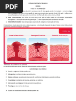 CURBIX-200-SC - BULA-set22 (2) PDF | PDF | Nuvem | Agricultura