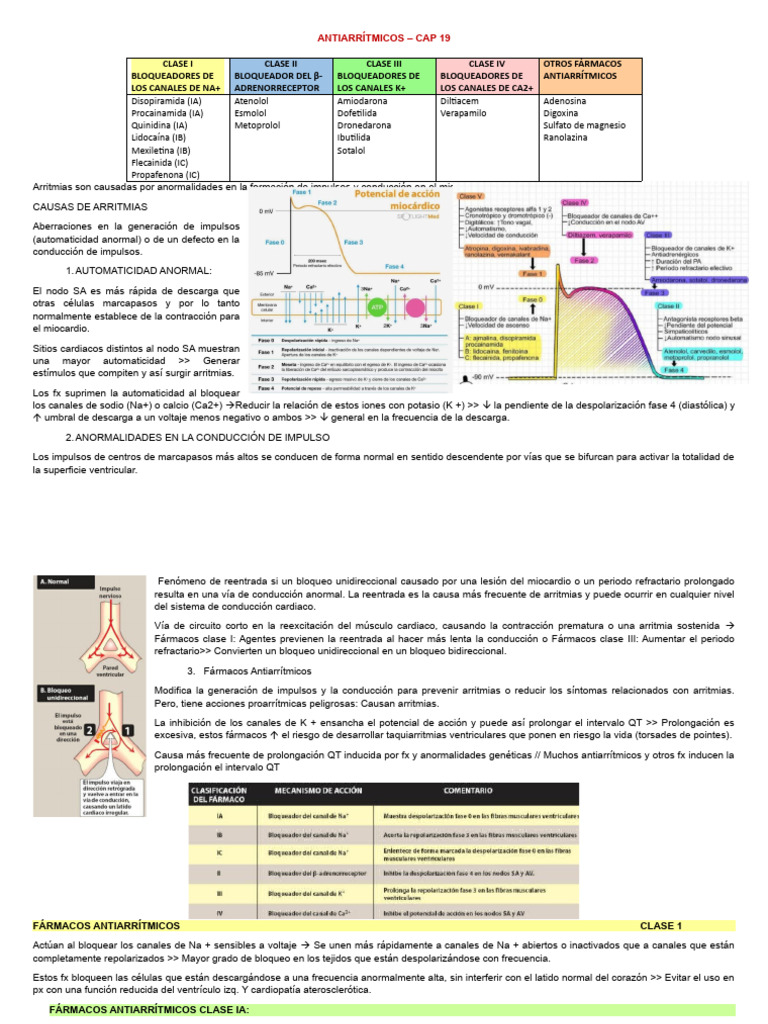 Antiarrítmicos: Mecanismos y Clases | PDF | Electrofisiologia ...