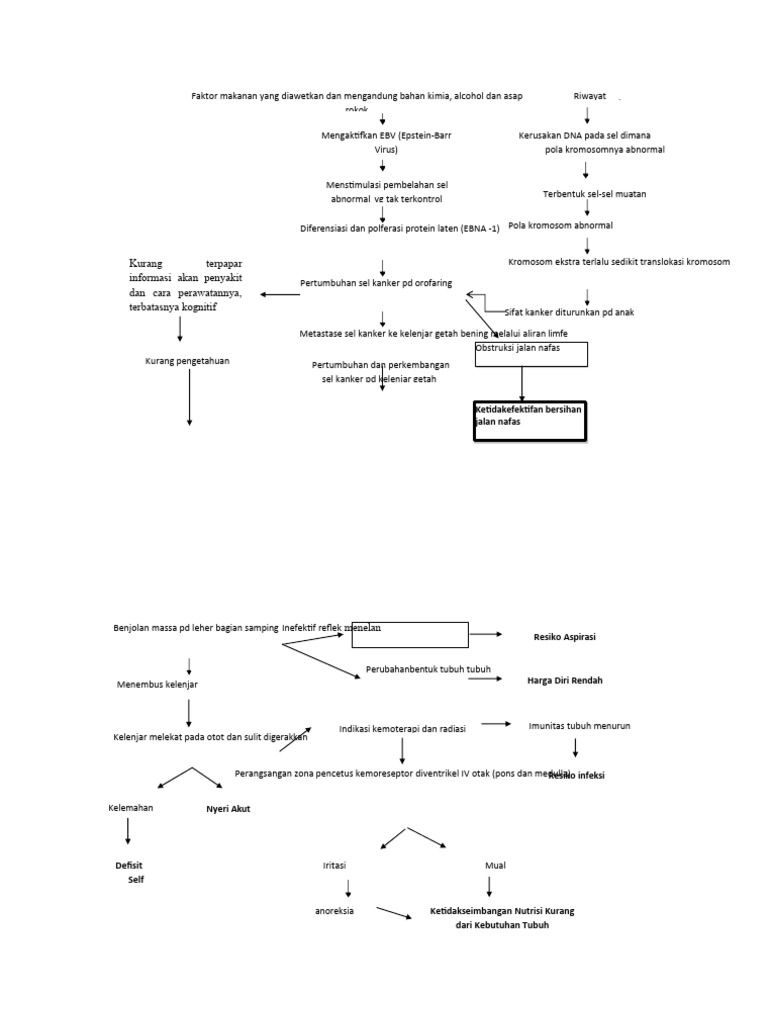 Pathway Tumor Orofaring | PDF