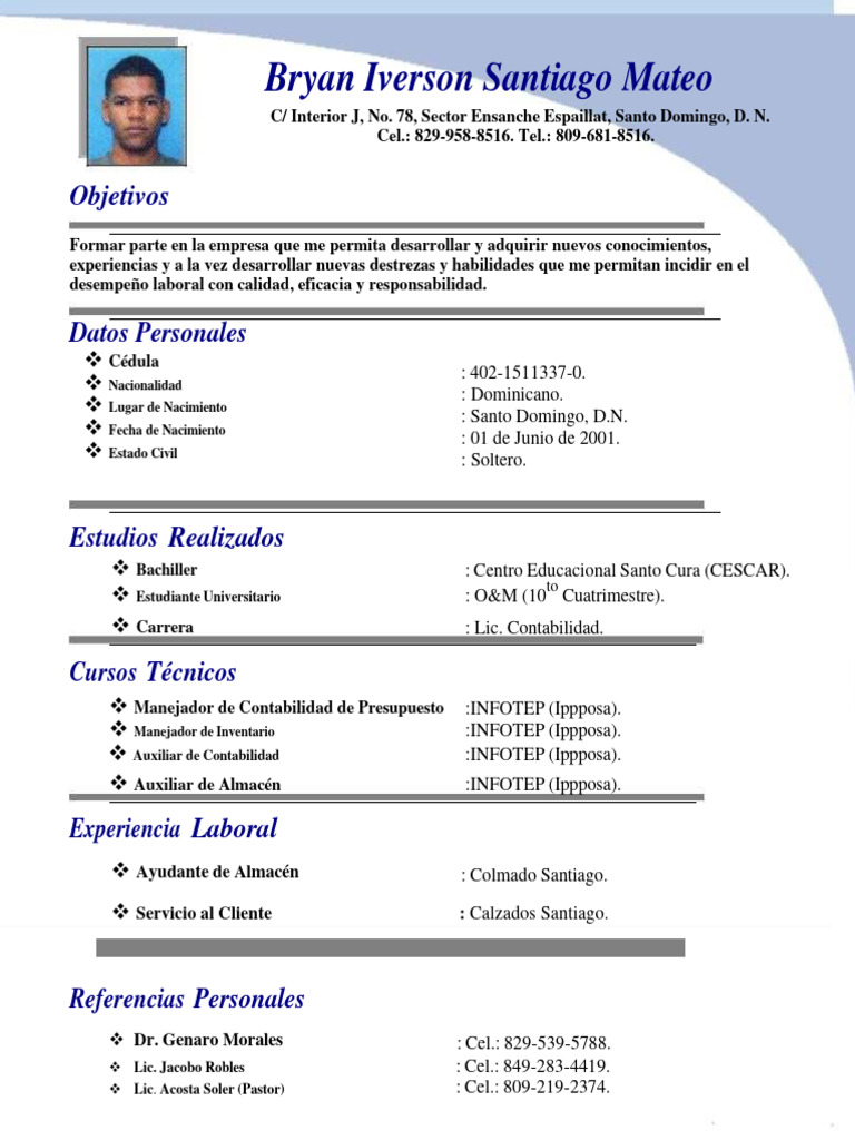 Curriculum Bryan Santiago | PDF