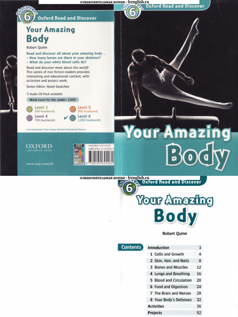 Your Amazing Body 6 | PDF | Lung | Skin
