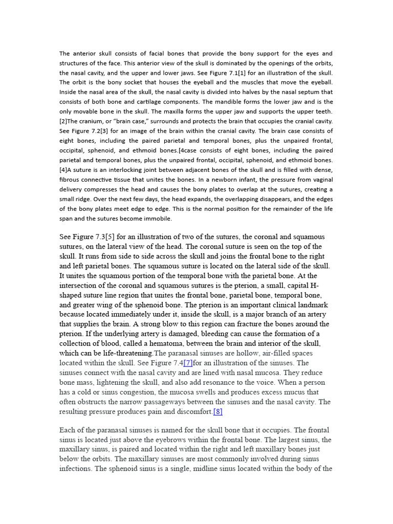 The Anatomy Of The Head | PDF | Skull | Anatomy