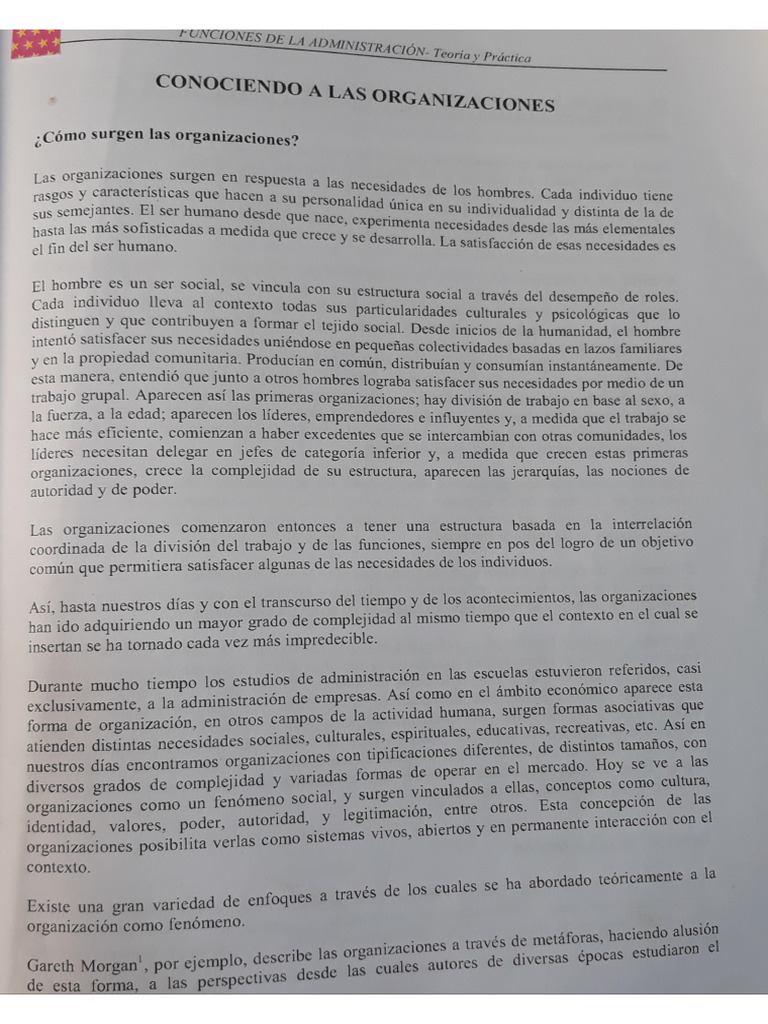 Folio 2 - Organización | PDF