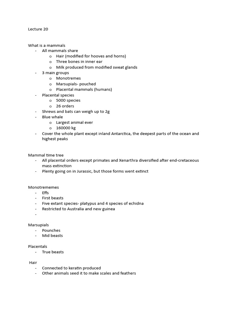 Lecture 20 | PDF | Mammals | Marsupials