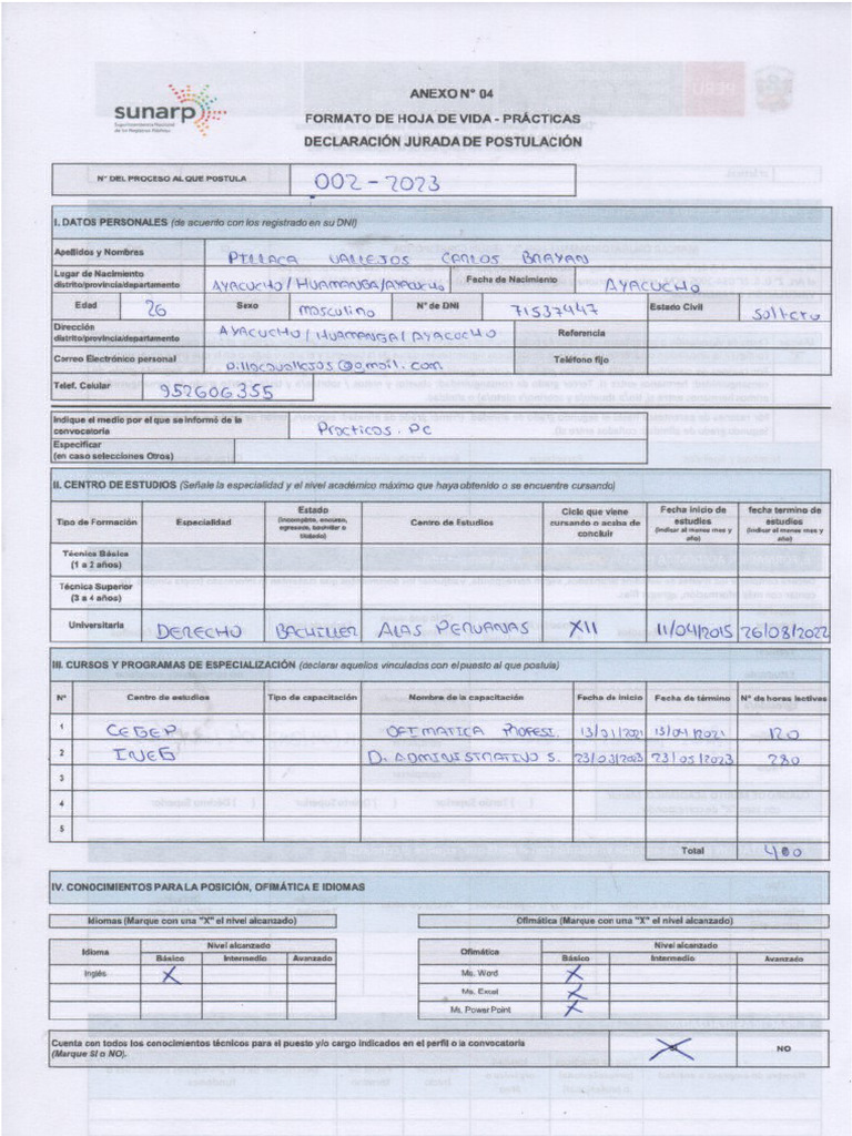 Formato Sunarp | PDF