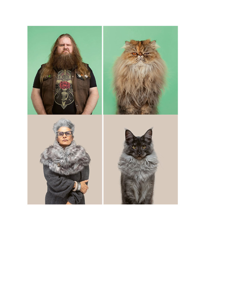 Tel Maitre Tel Chat | PDF